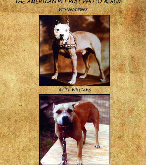 THE AMERICAN PIT BULL TERRIER PHOTO ALBUM by T.L.Williams – APBT Books