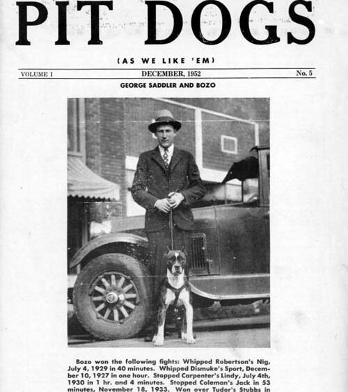 YOUR FRIEND AND MINE (PIT DOGS) DECEMBER 1952 – APBT Books