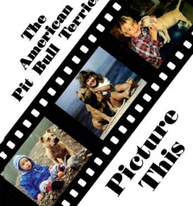 APBT Books – American Pit Bull Terrier Books